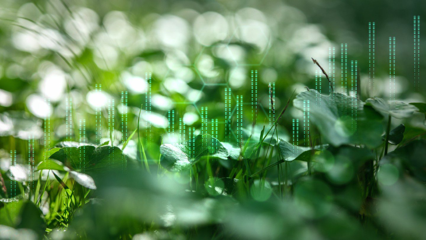 osapiens haalt 100 miljoen dollar op en bereikt unicornstatus - Ecotips