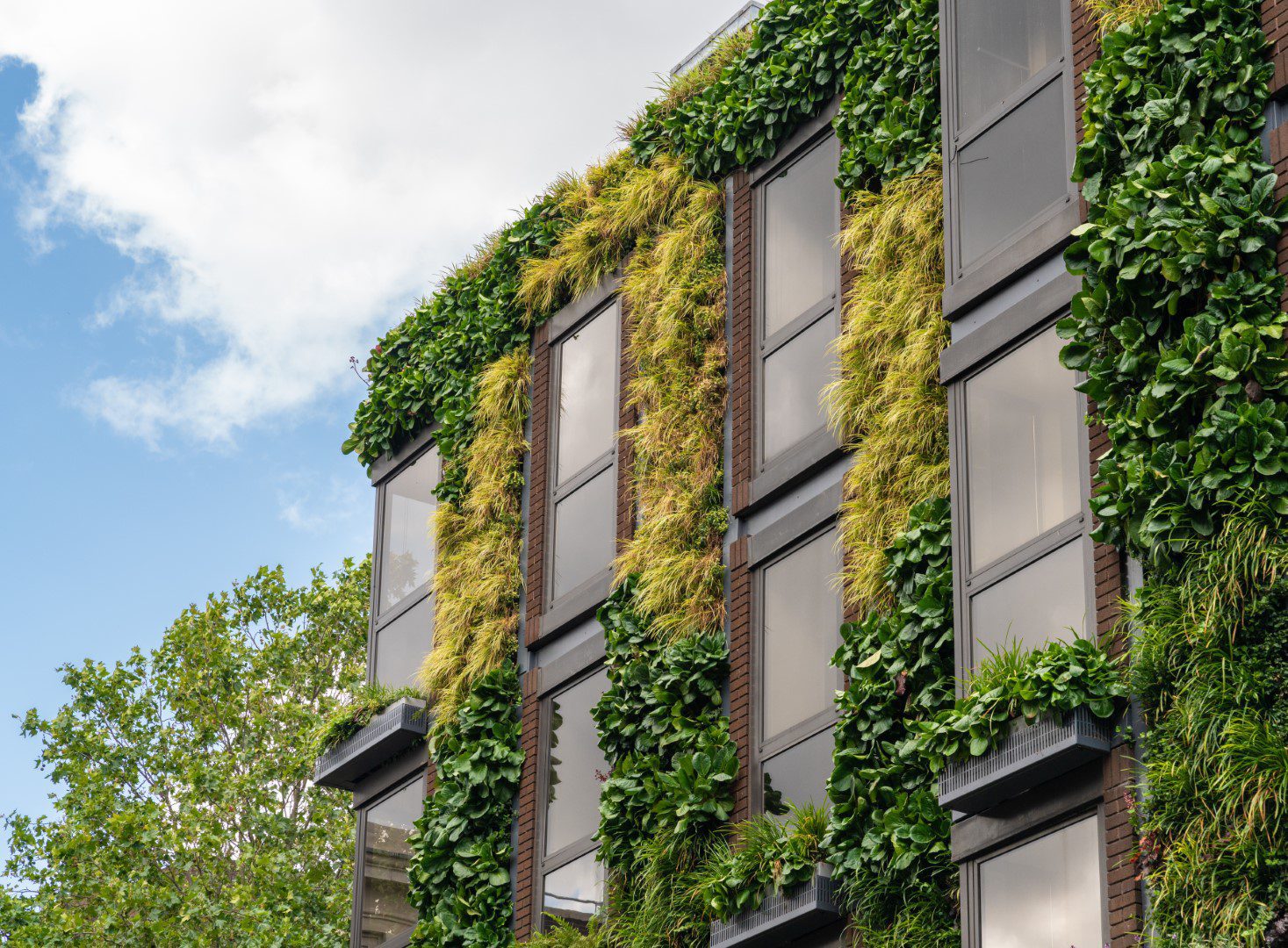 11 projecten krijgen samen 500.000 euro om gevels van openbare gebouwen ...