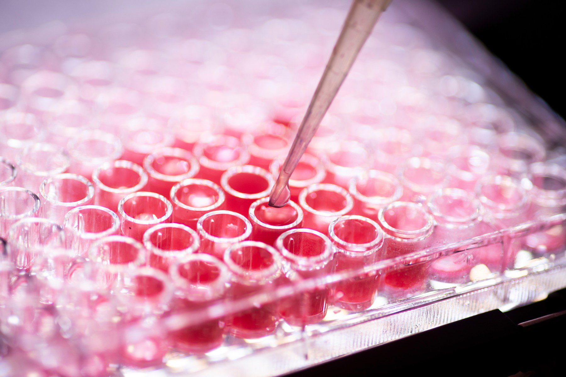 Synthetische biologie kan heel wat industrieën ontwrichten - Ecotips